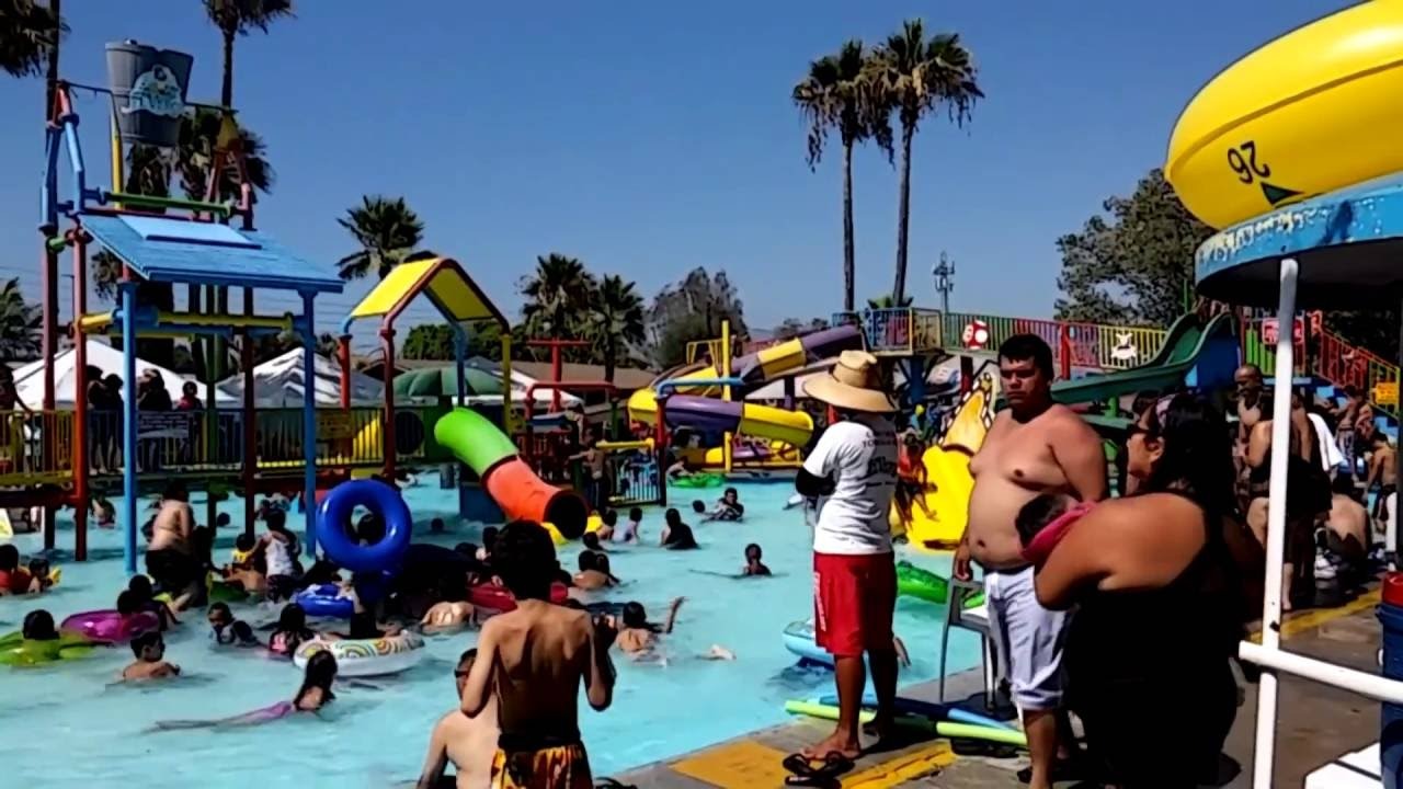 antros - Tijuana en Línea Noticias