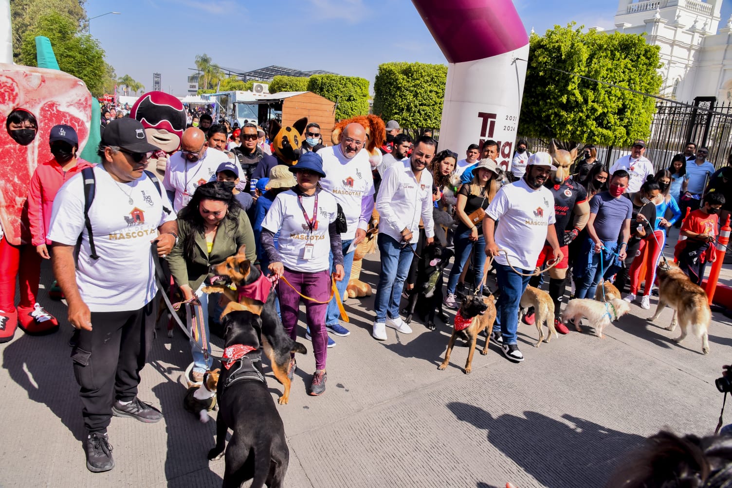 La 2ª feria de las mascotas será este domingo