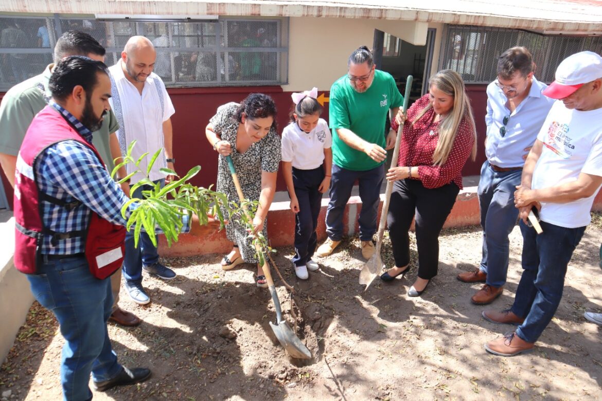 Arranca programa de reforestación en escuelas municipales