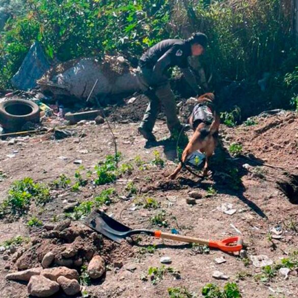 Guadalupe Elizabeth Puga Vega - Tijuana en Línea Noticias